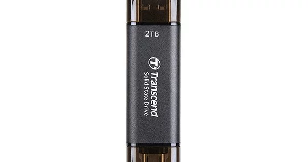 Transcend TS2TESD310C lecteur à circuits intégrés externe 2 To Noir ...
