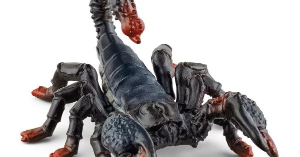 schleich WILD LIFE Scorpion 14857 pas cher