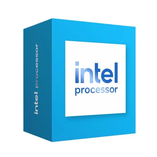 Intel 300 processeur 6 Mo Smart Cache Boîte BX80715300 pas cher