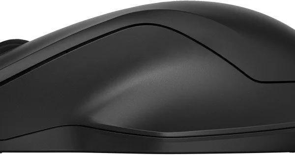 HP 255 Dual Wireless Mouse 8R3U1AA#ABB pas cher